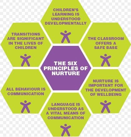 Wider Curriculum - Evolve Academy
